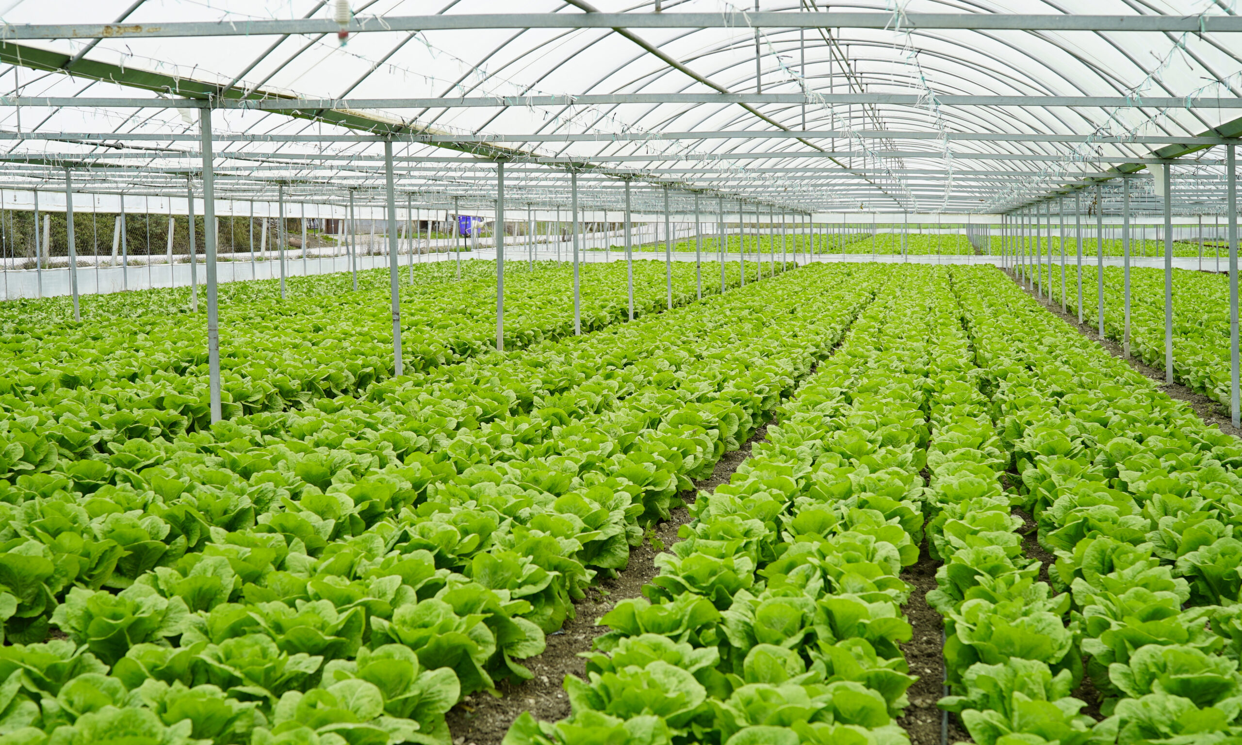 Temakurs: NEK 400 Landbruk – med fokus på krav til tavlene